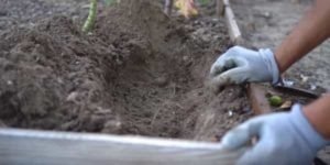 How to convert kitchen waste into compost - Gardening Freak